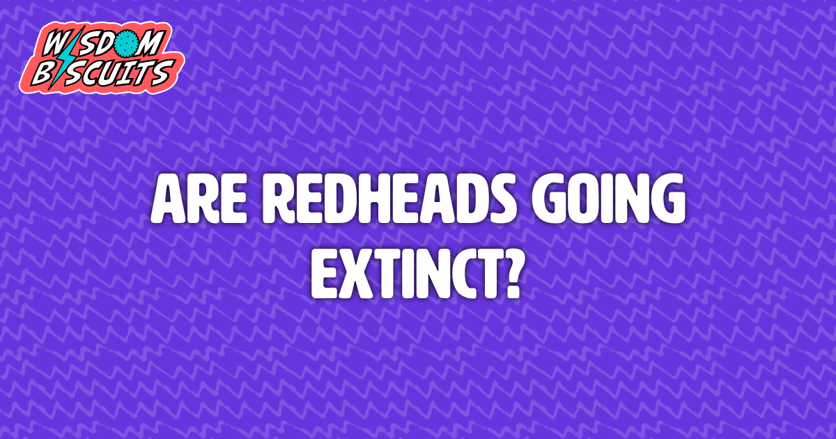 Are Redheads Going Extinct Wisdom Biscuits